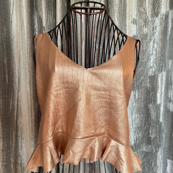 Zara | Tops | Rose Gold Top From Zara | Poshmark